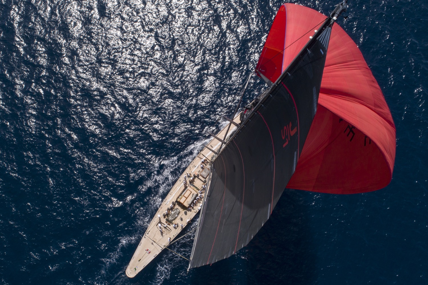 ORCsy Certificate Sample - ORC